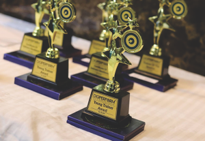 Annual Digital Marketing Program | Digiperform | DigiHero